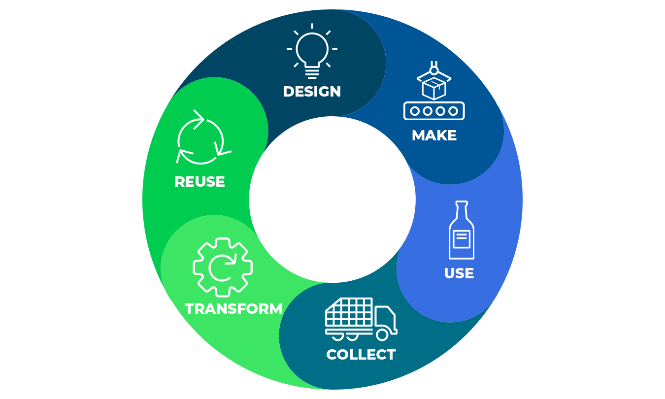 Circular Economy Explained: Definition, Principles, & Benefits
