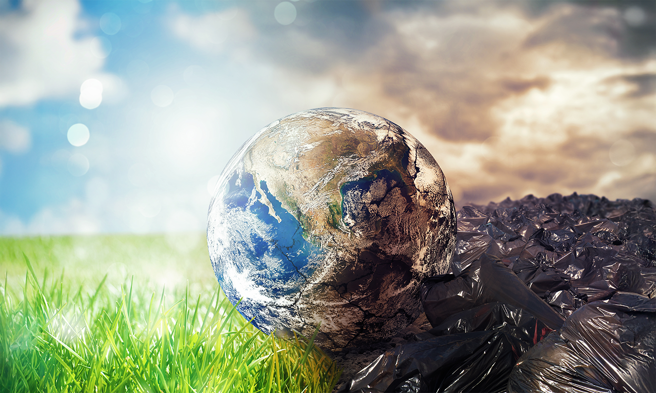 Linear vs Circular Economy: Differences, Benefits & Why It Matters